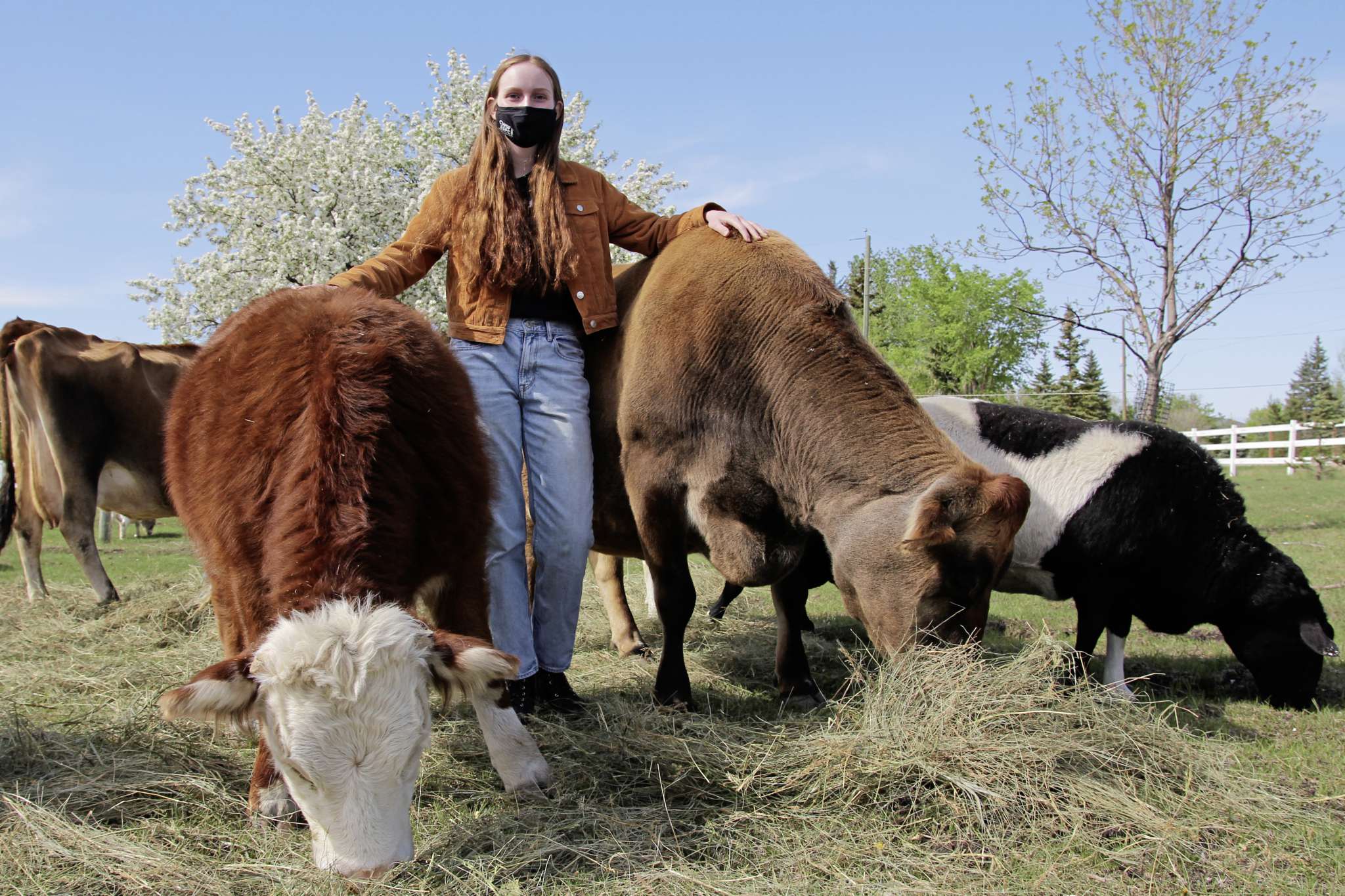 A second chance for barnyard animals – Our Communities