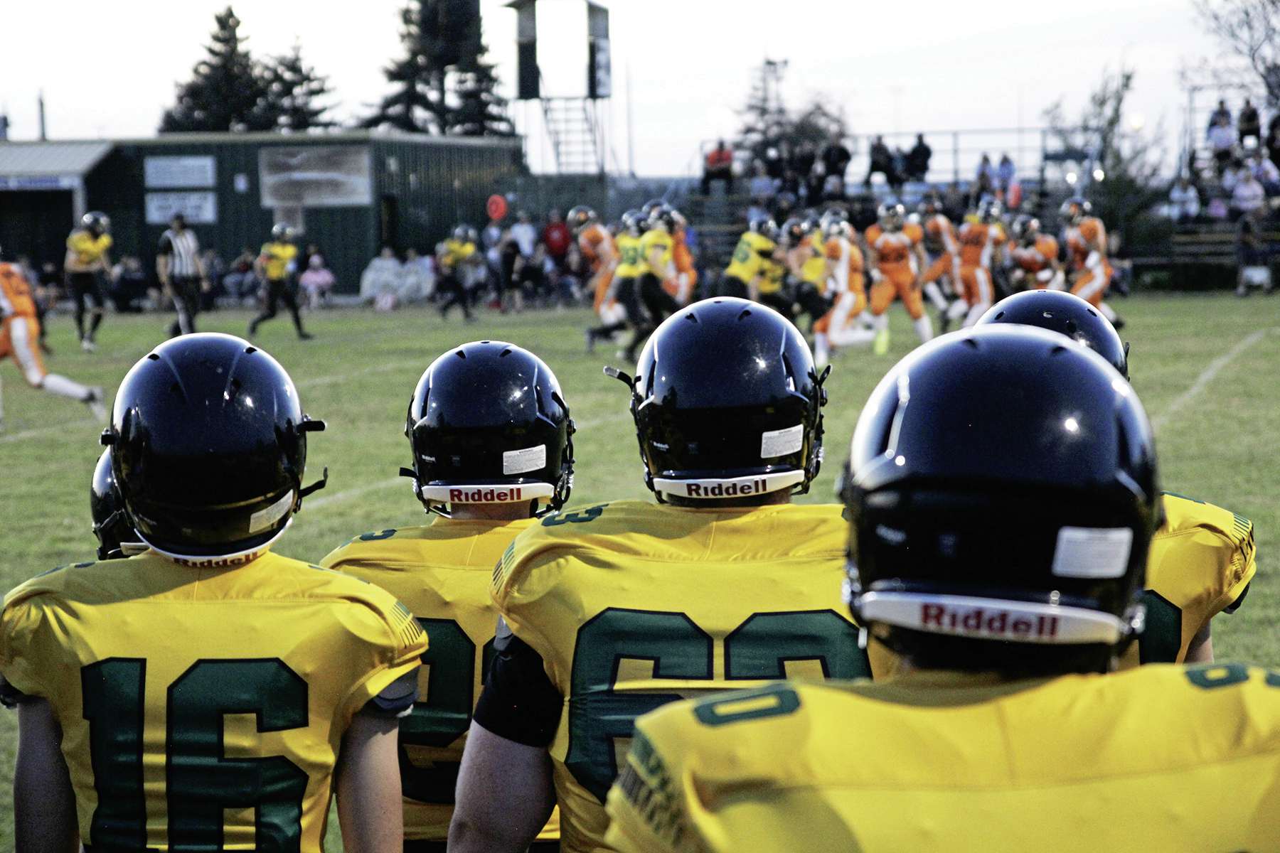 Seeding a sports legacy – Our Communities