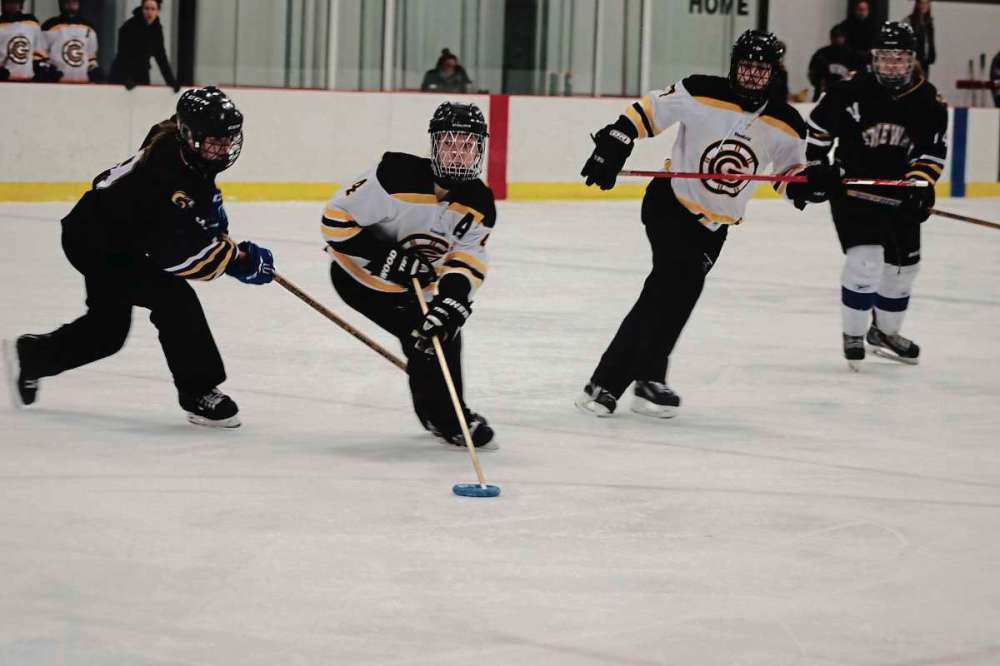 Gopher athletes try ringette for the first time – Our Communities