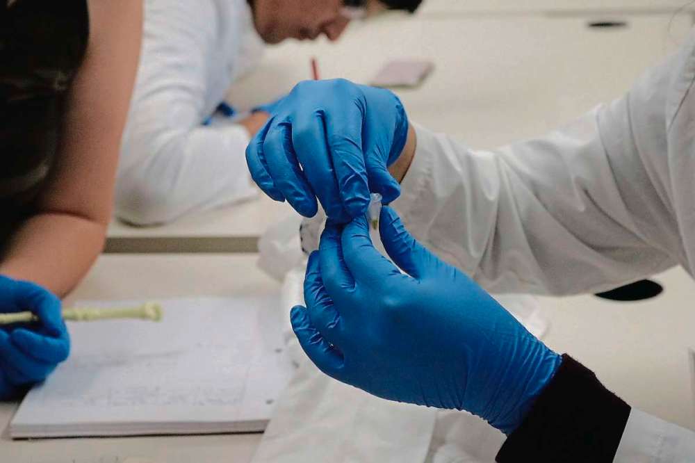 A science lab in the inner city – Our Communities