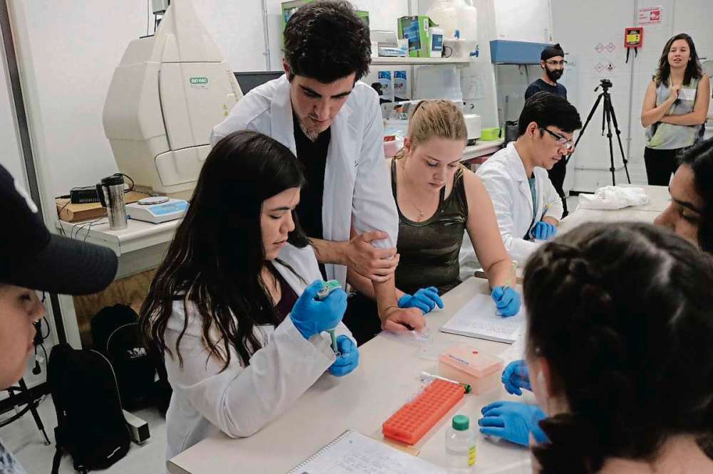 A science lab in the inner city – Our Communities