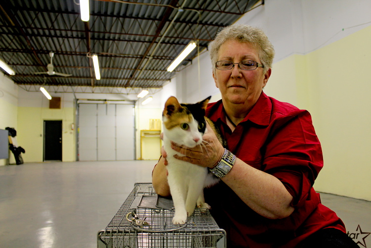 Cat rescue on the move – Our Communities