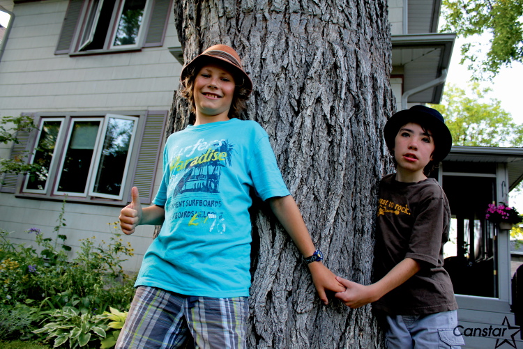 Residents rally to save city elm trees – Our Communities