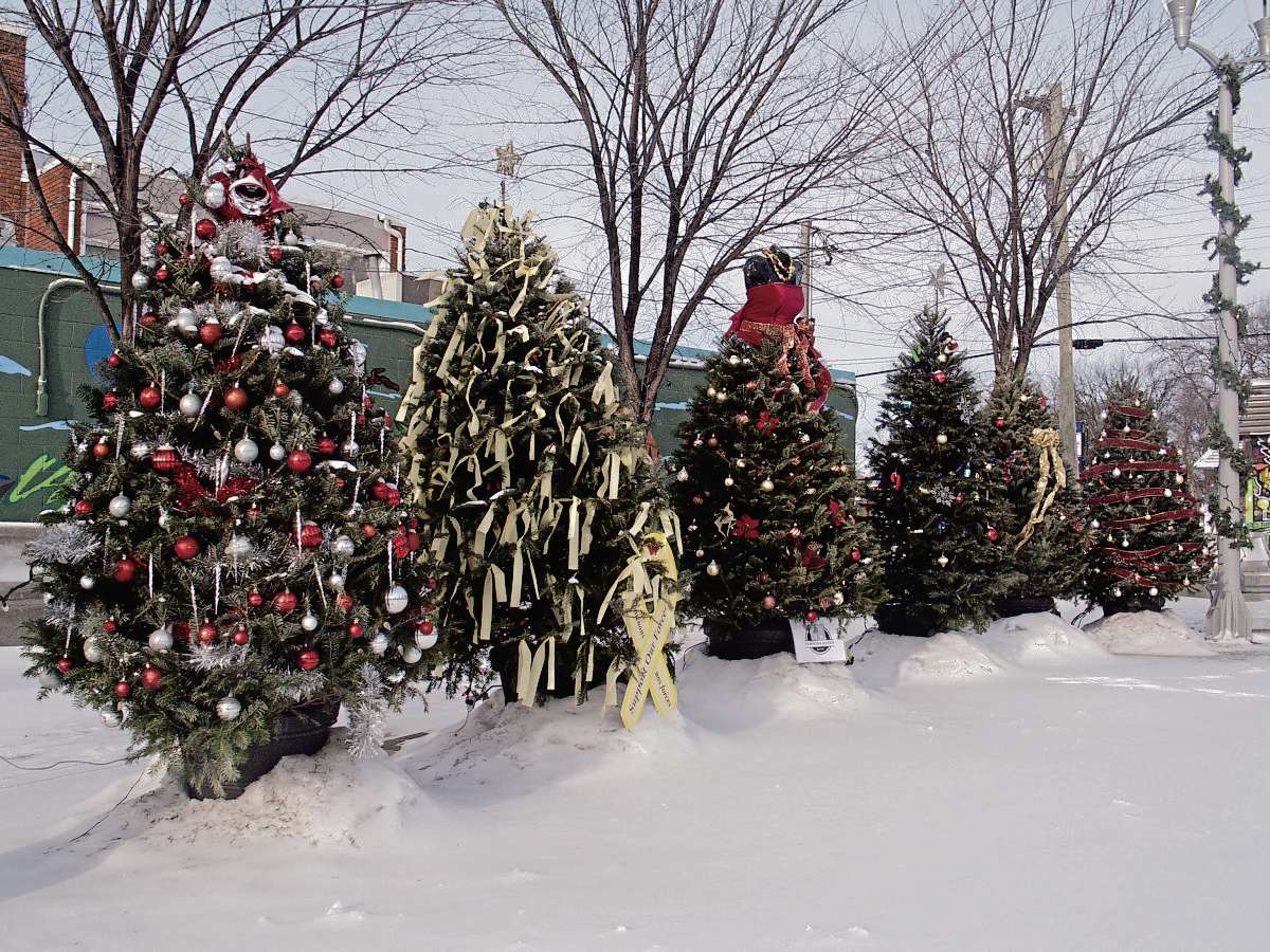 Tie a yellow ribbon to the Christmas tree – Our Communities