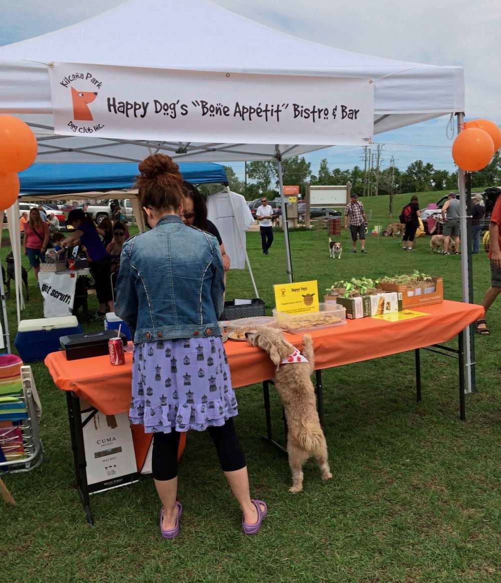 Kilcona Park to host Dog Fest – Our Communities