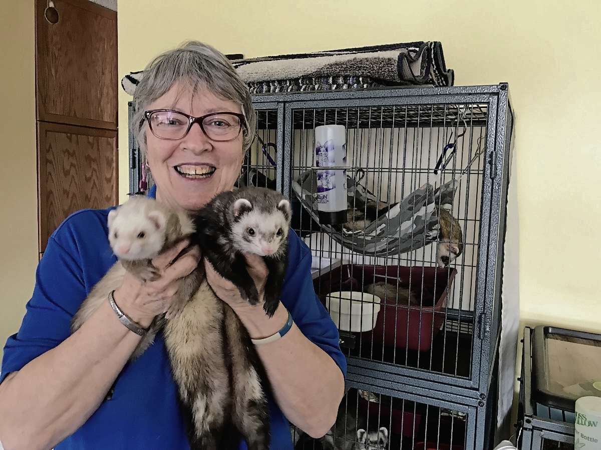 Fun-filled event planned for ferrets, owners – Our Communities