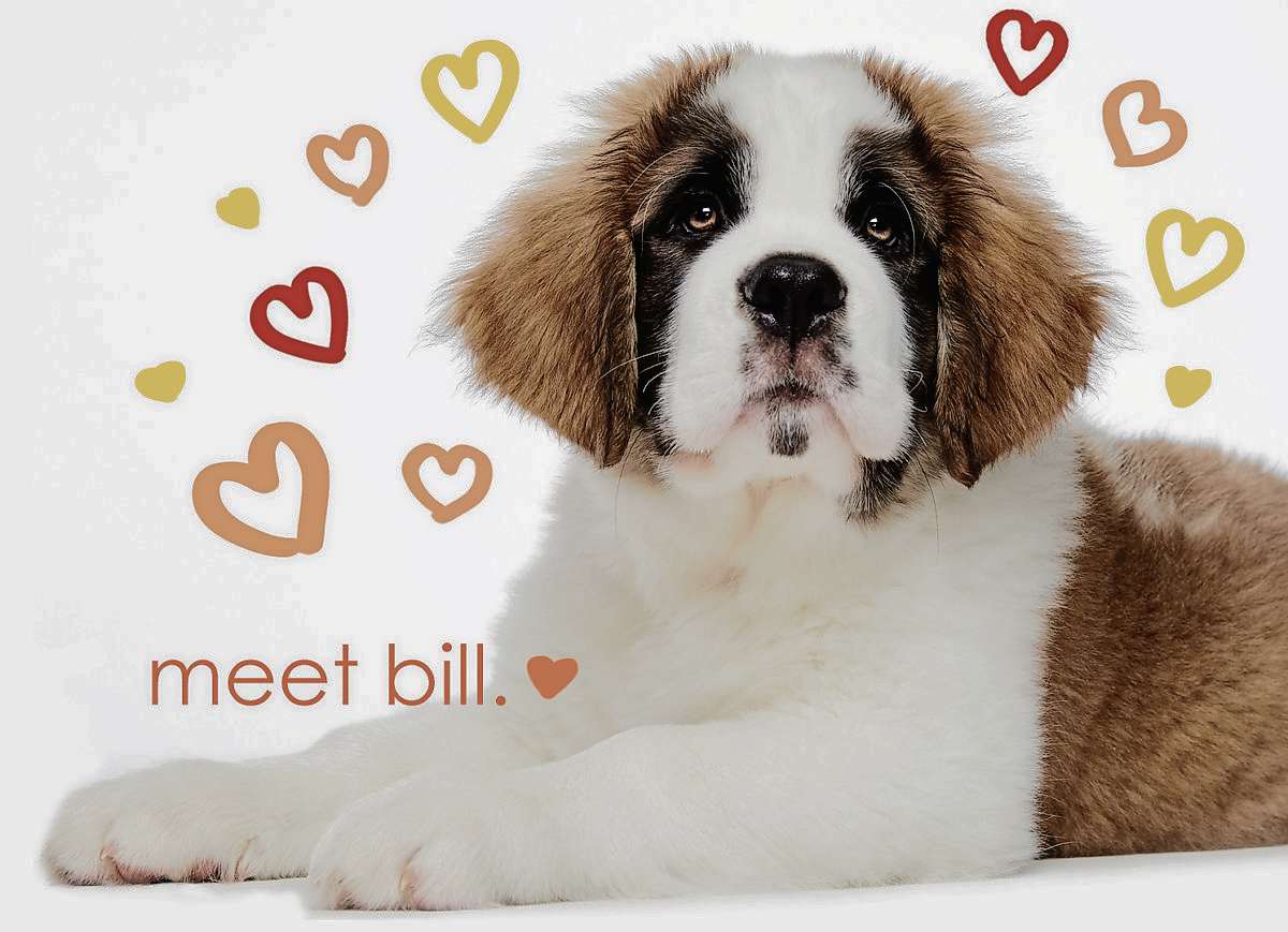 New addition at Sunova – Our Communities