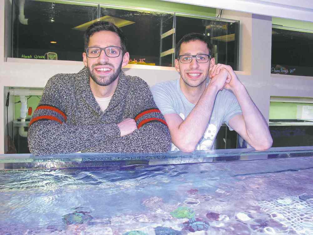 Brothers heading into the blue – Our Communities
