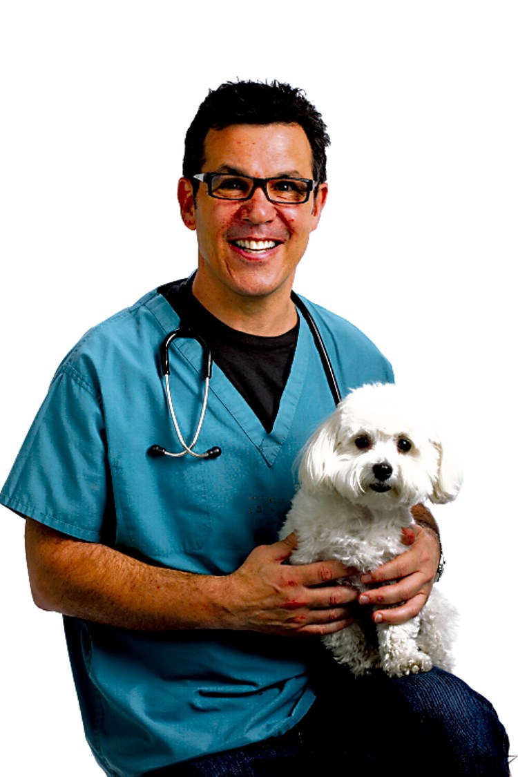 Lyme disease can do more than tick off your dog – Our Communities