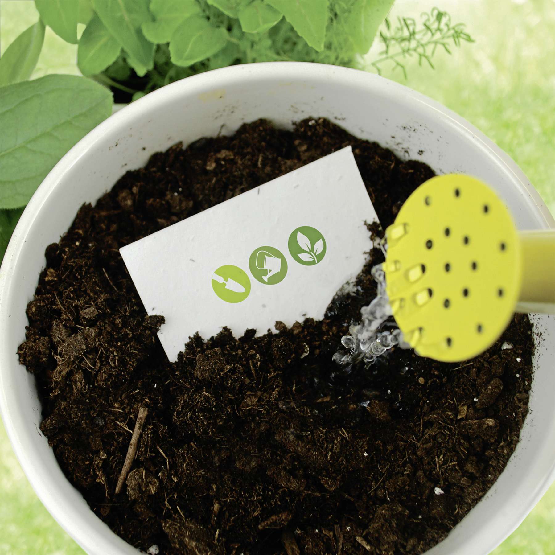 Botanical PaperWorks receives relief grant – Our Communities