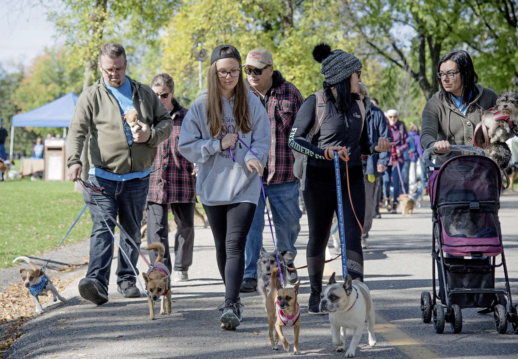 Paws for a Cause supports cancer patients – Our Communities