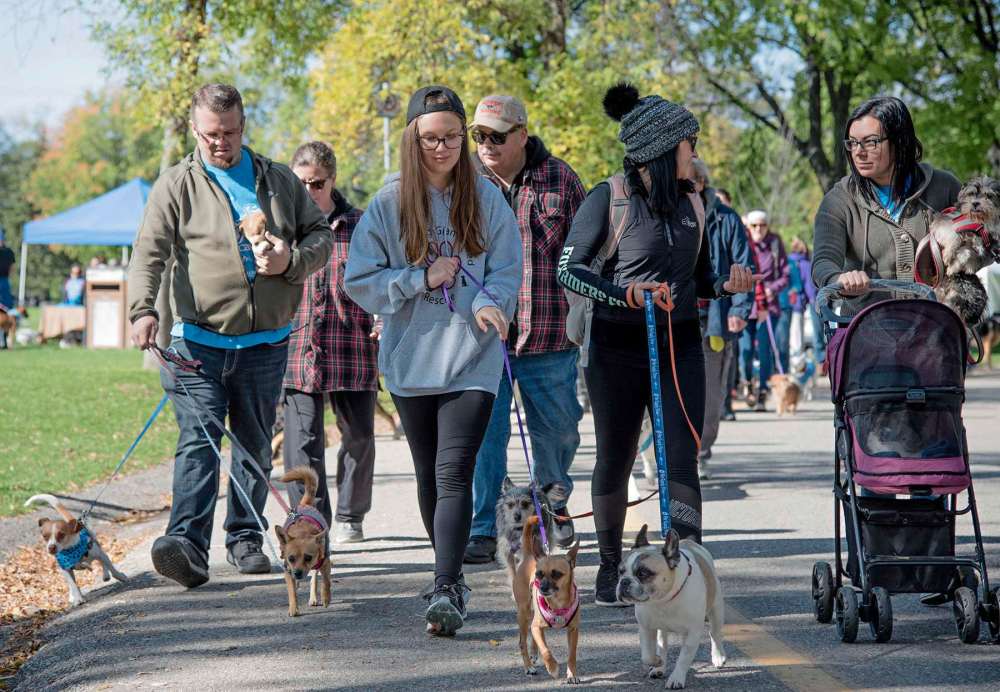 Paws for a Cause supports cancer patients – Our Communities