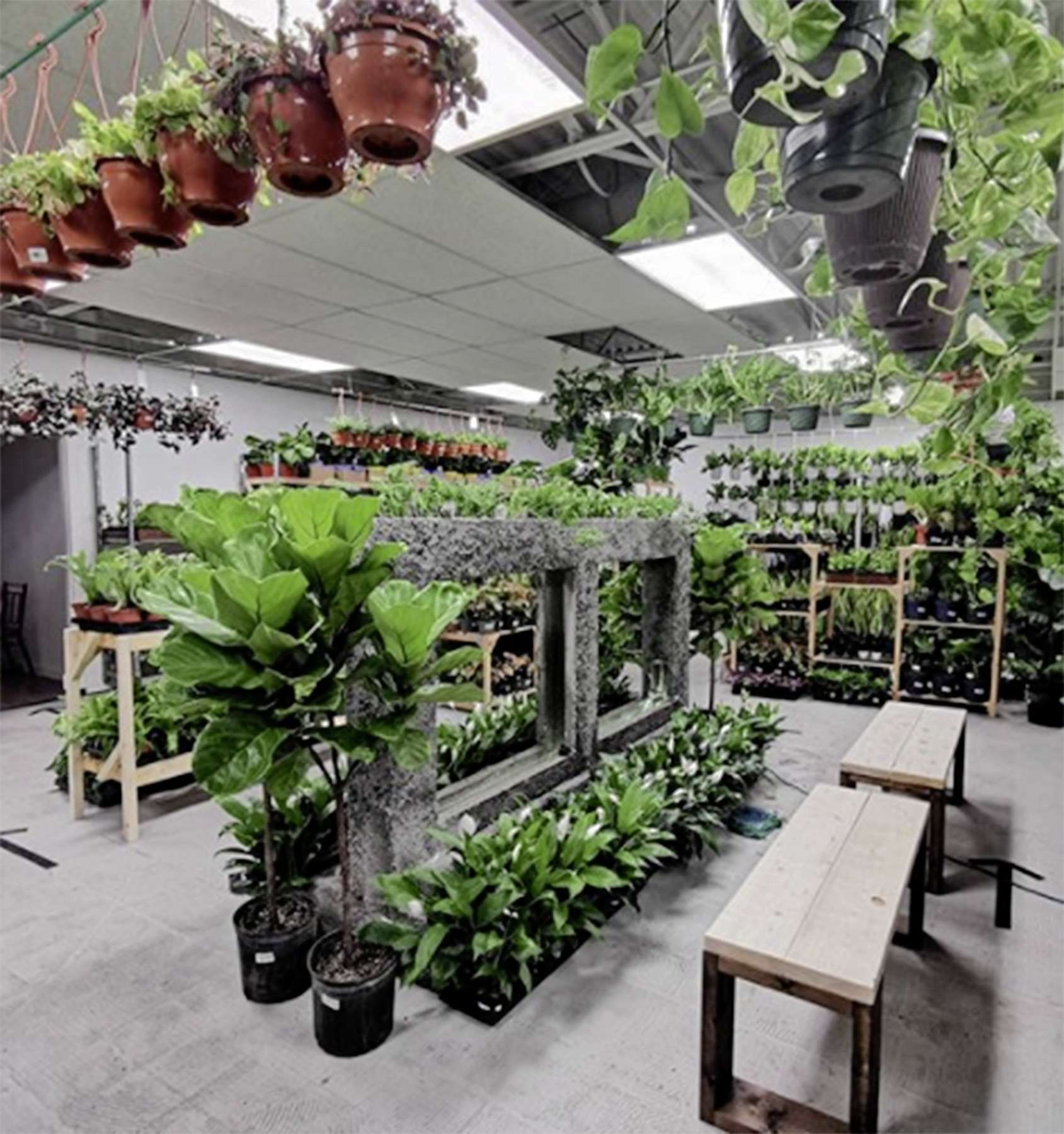 PlantMomma opens its doors – Our Communities