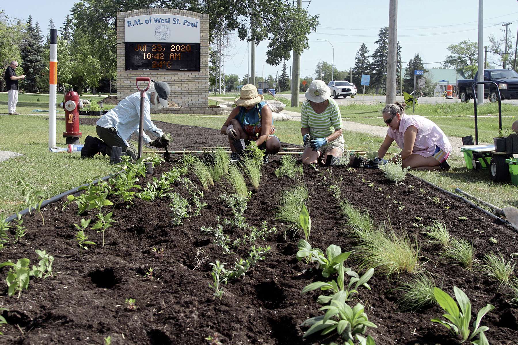 Gardening group restores native plant species – Our Communities