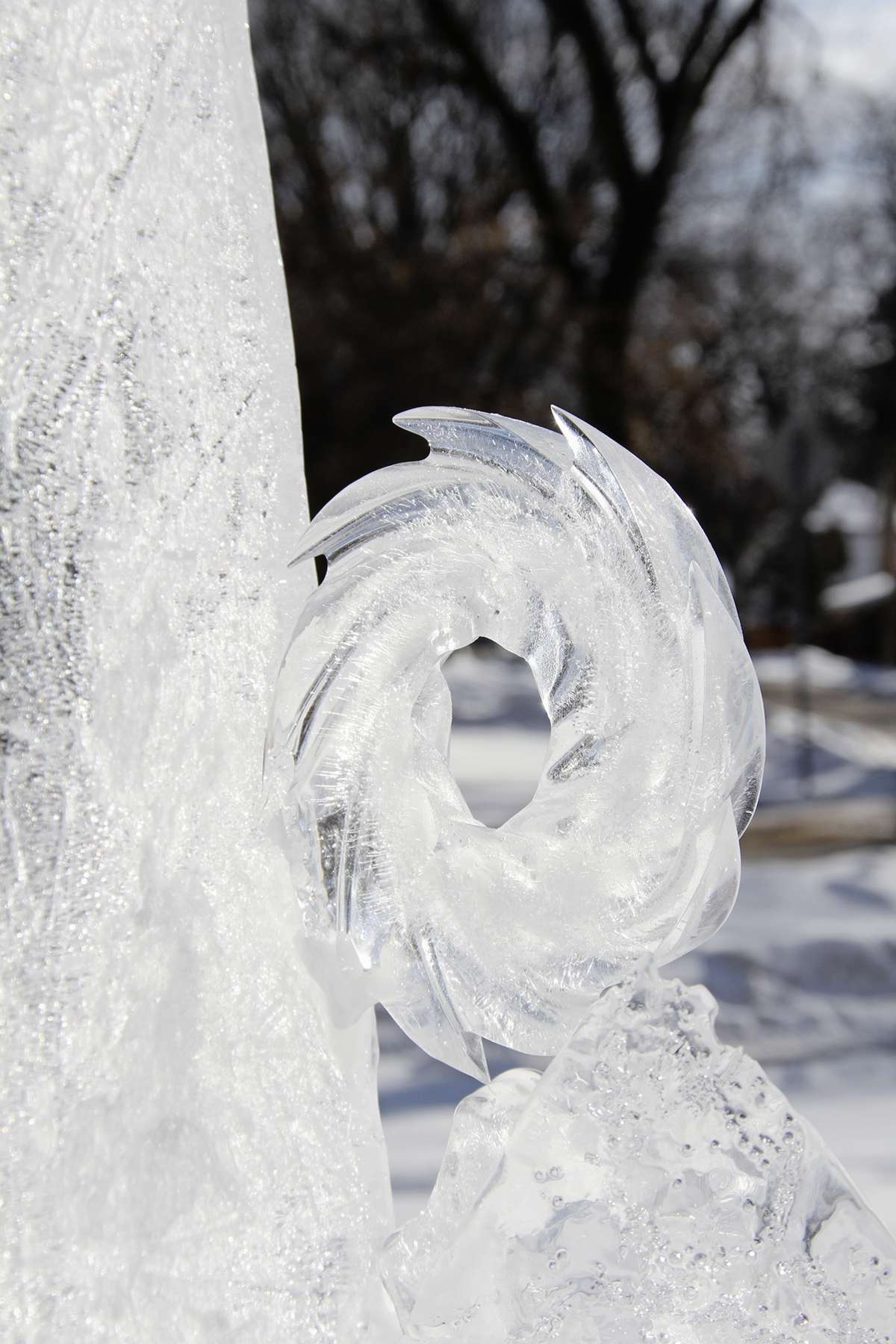 Ice garden glows with light – Our Communities