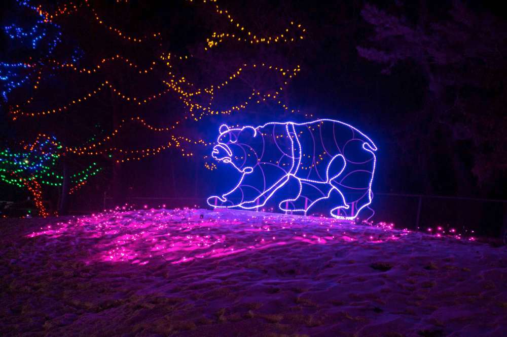Zoo Lights Festival dazzles residents – Our Communities