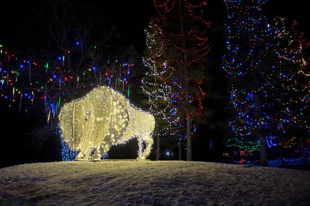 Zoo Lights Festival dazzles residents – Our Communities