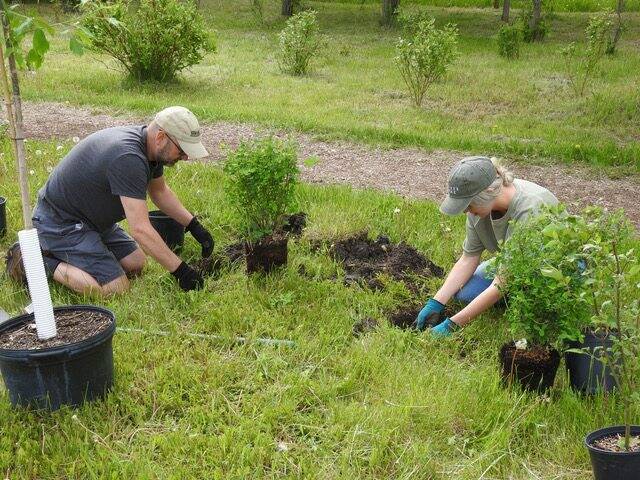 Community tree-planting event rooted in success – Our Communities