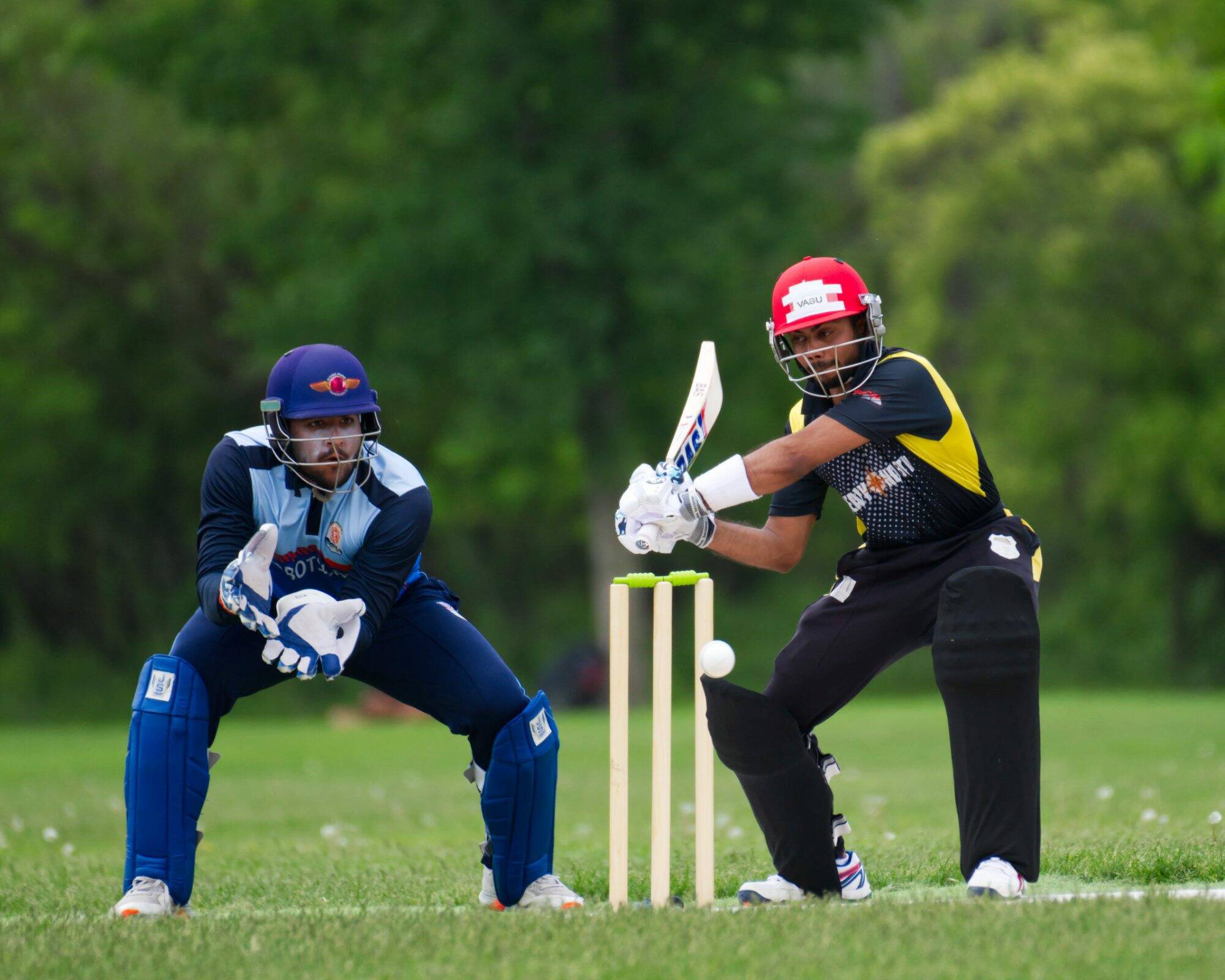Cosmos cricketers are western champs – Our Communities