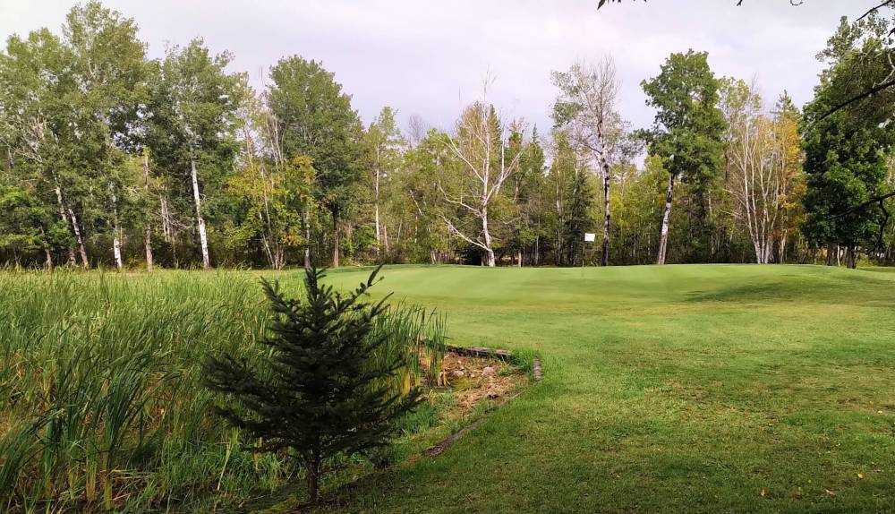 A phoenix rises in the Interlake – Our Communities