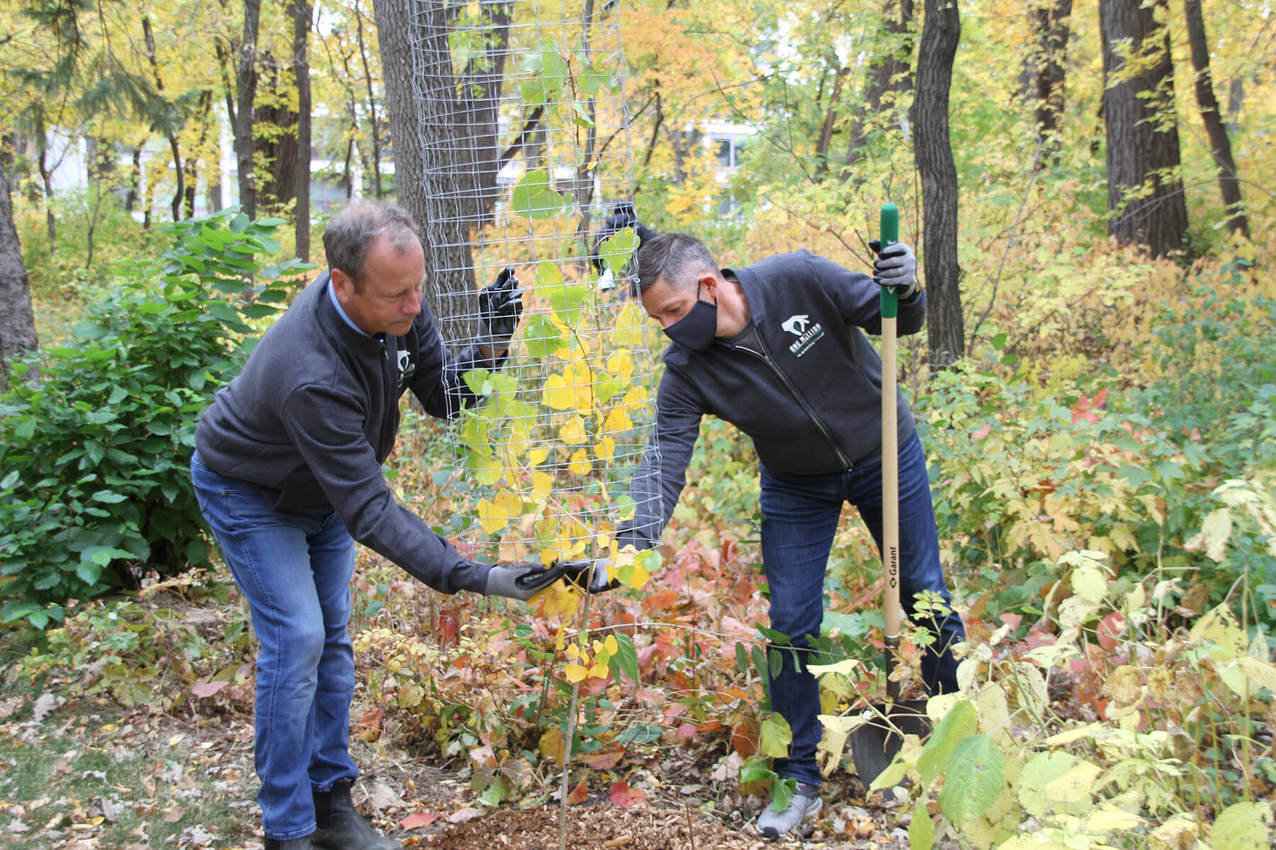 More funding to grow, protect tree canopy – Our Communities