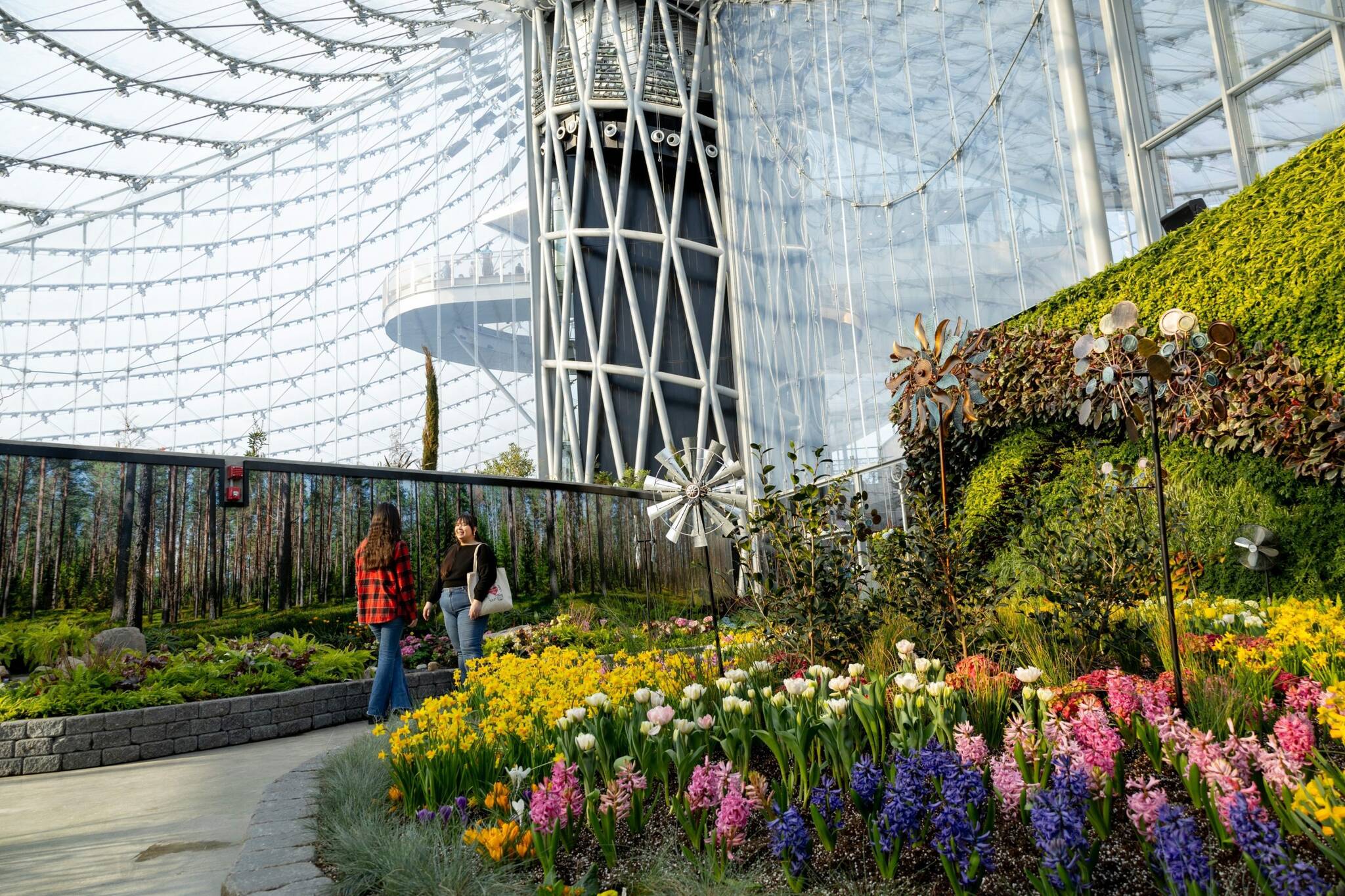 Ways to celebrate Earth Day – Our Communities