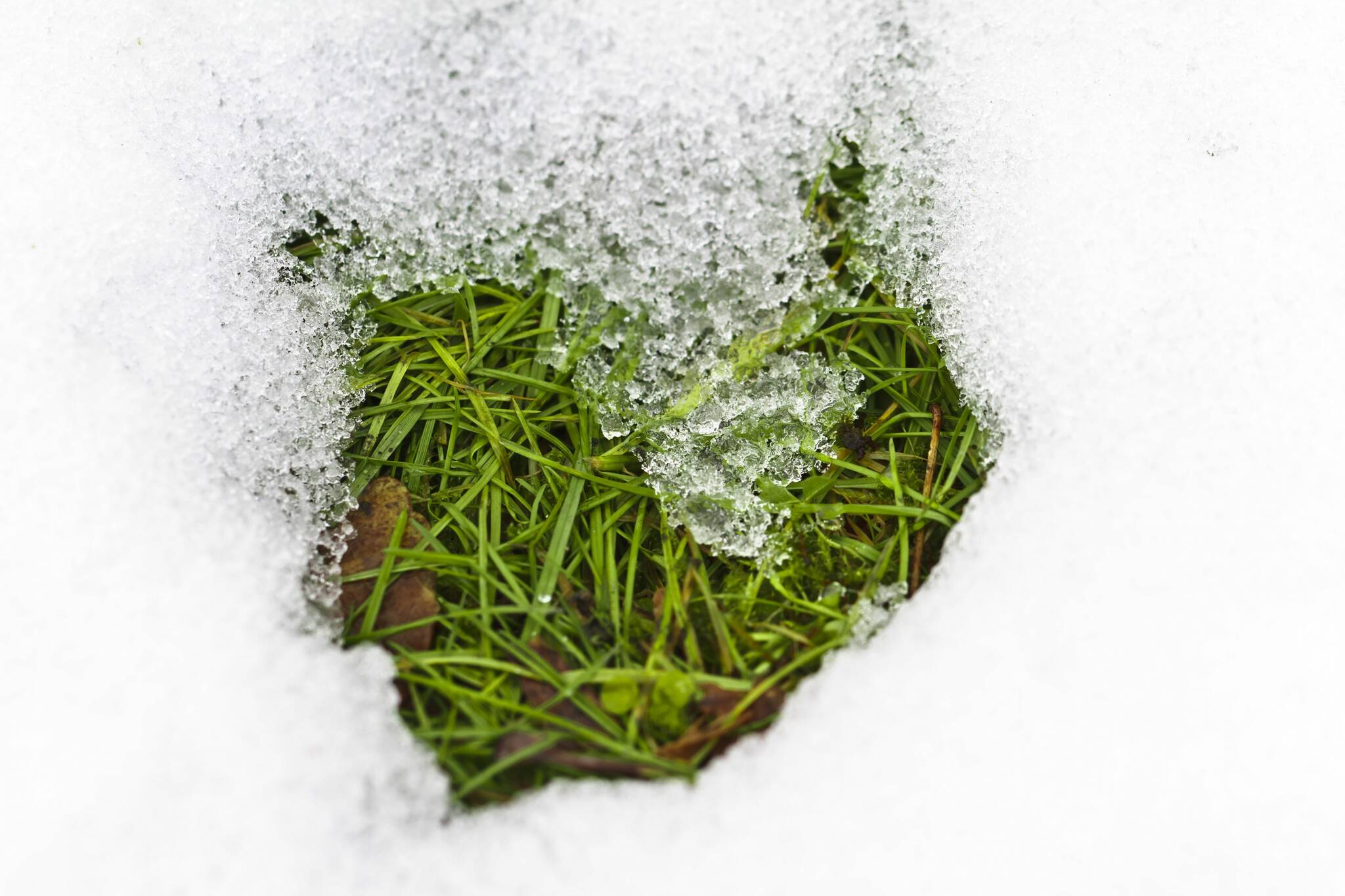 Spring melt reveals many treasures – Our Communities