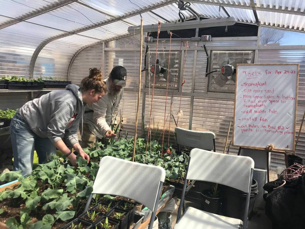 Spring at Maryland community garden – Our Communities