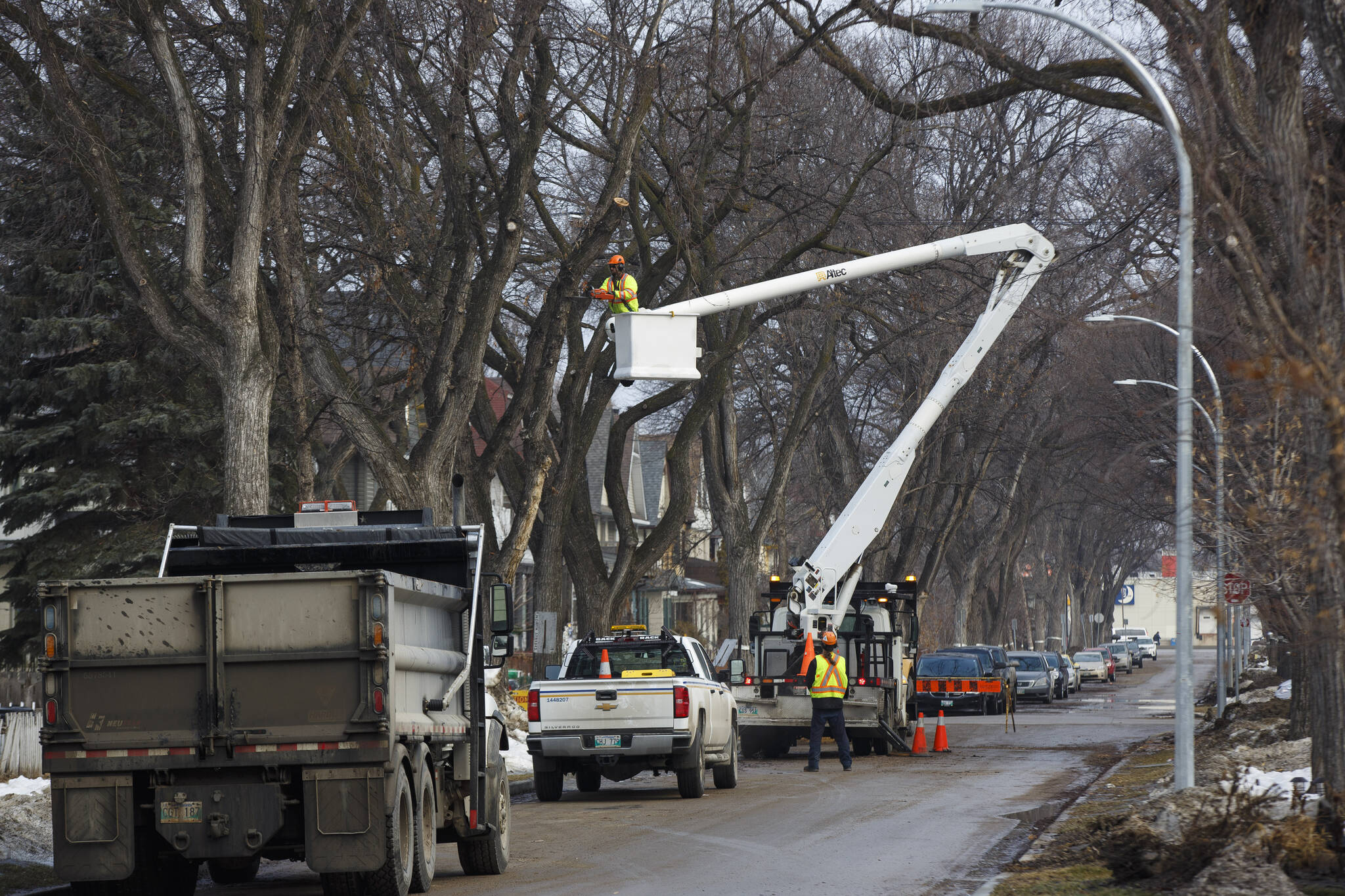 Who you gonna call? 311 – Our Communities