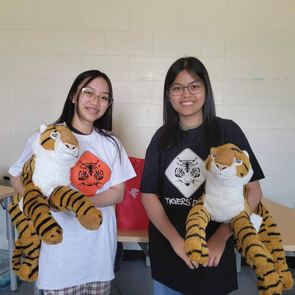 Problem-solving in the Tigers’ Den – Our Communities