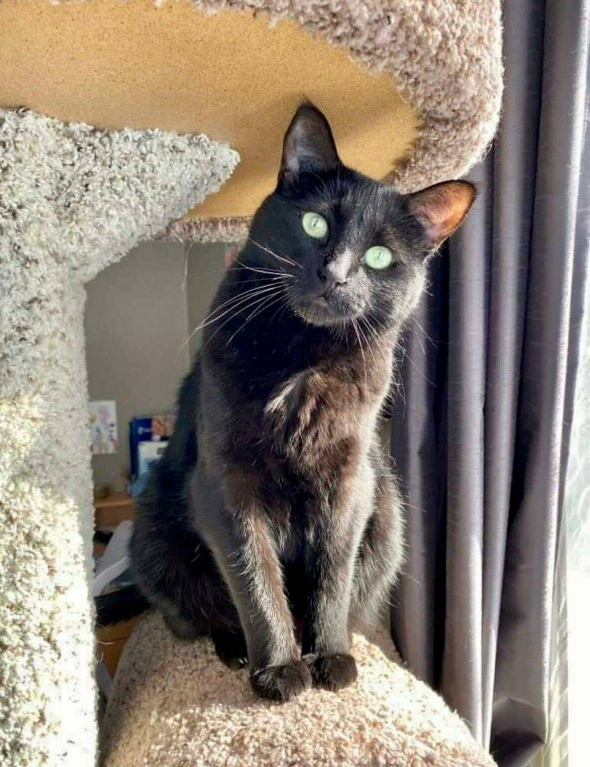 Moe is looking for an ideal ‘retirement home’ – Our Communities