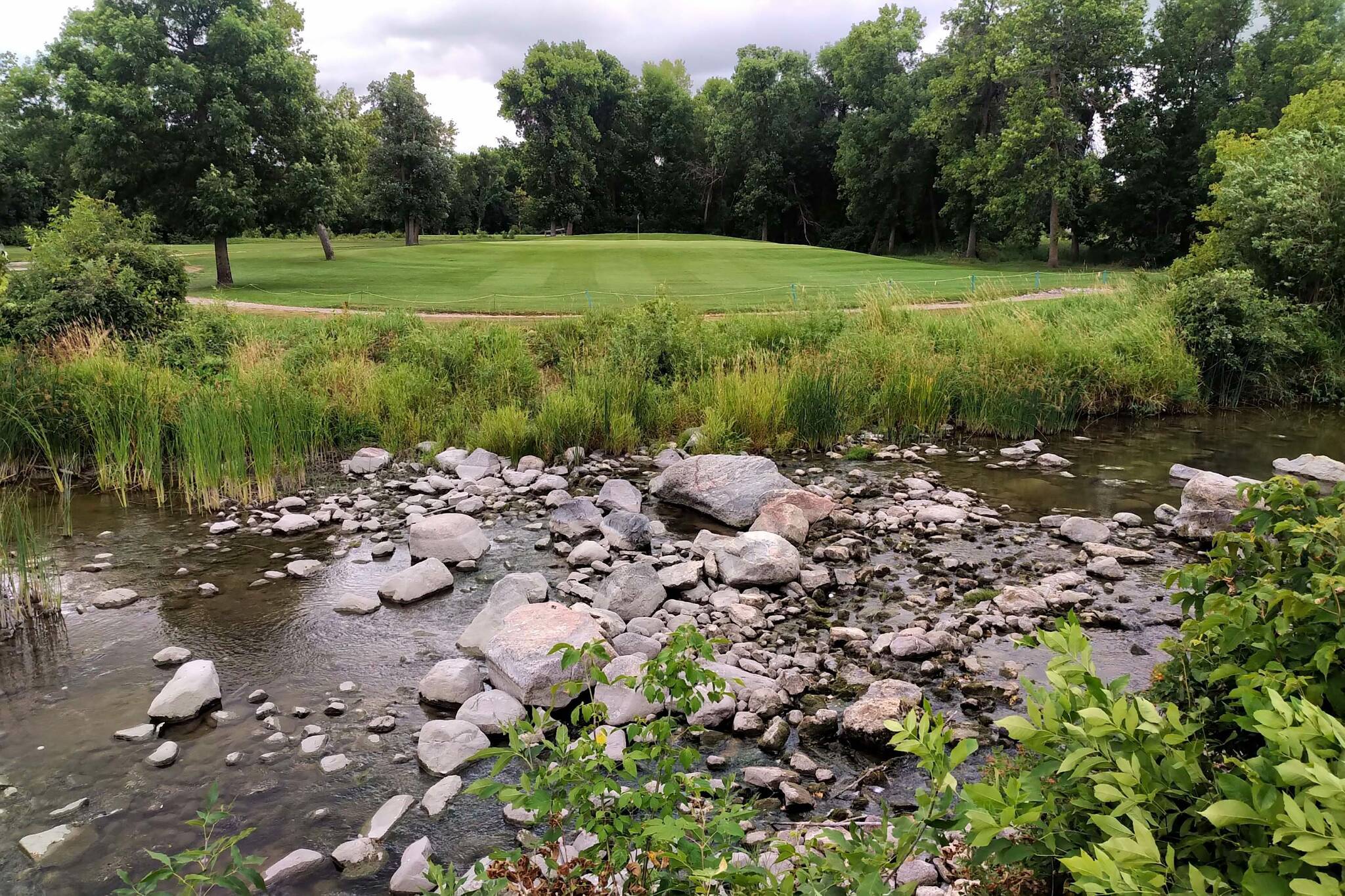 Checking in on Netley Creek – Our Communities