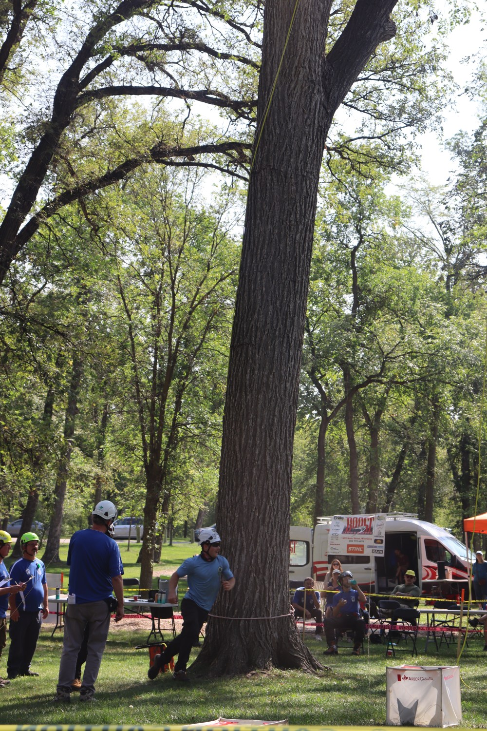 Professional tree climbing competition is far from child’s play – Our ...