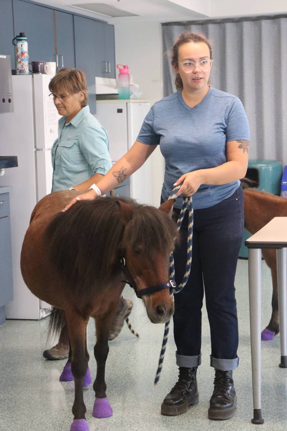 Horses for happiness – Our Communities