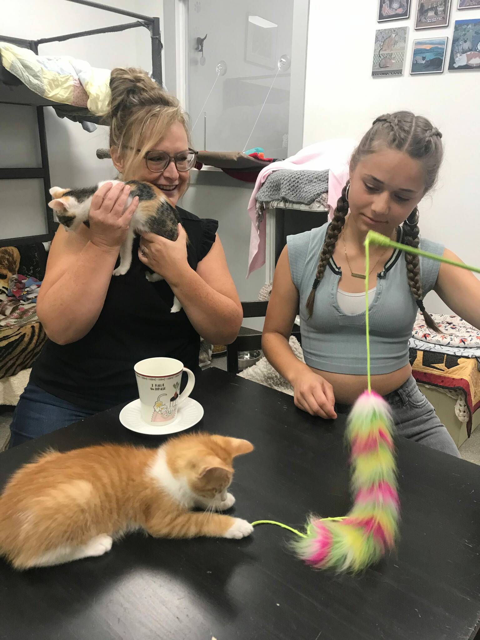 Checking out a new cat café – Our Communities