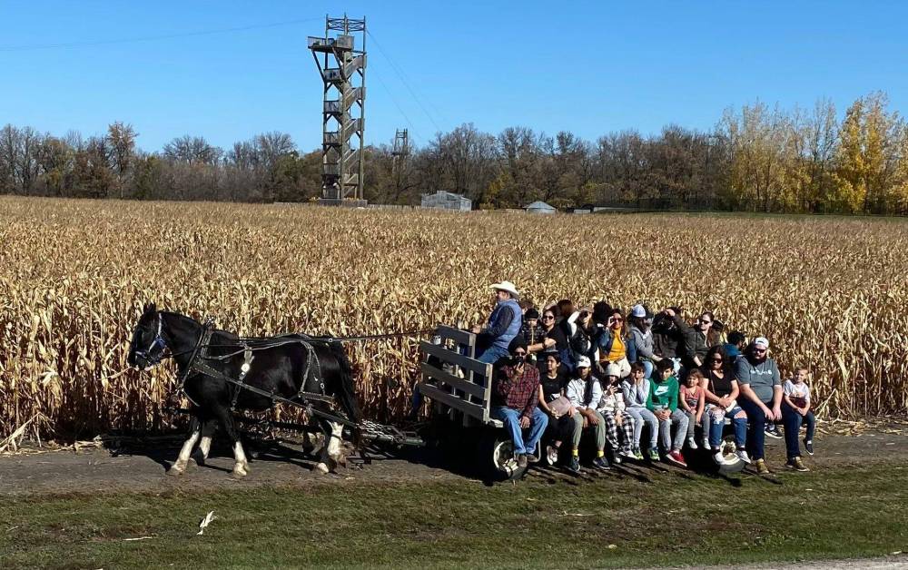 Autumnal fun at A Maze in Corn – Our Communities