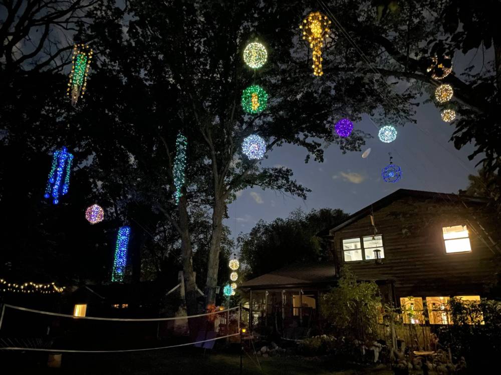 An ethereal yard of lights and sights – Our Communities