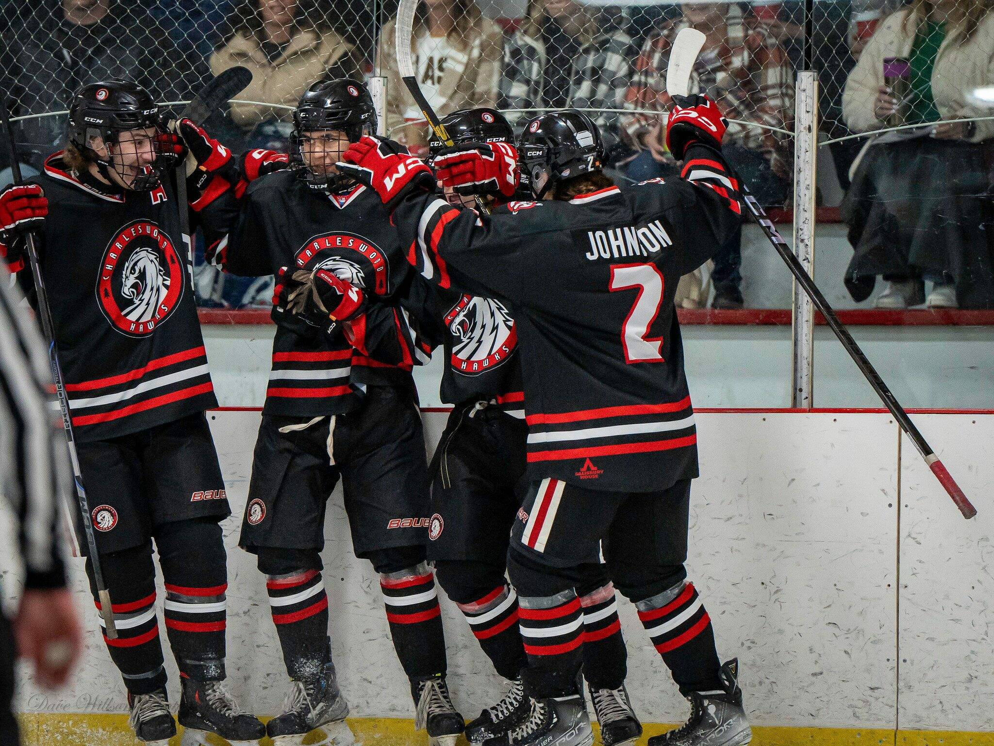 Hawks soaring above competition – Our Communities