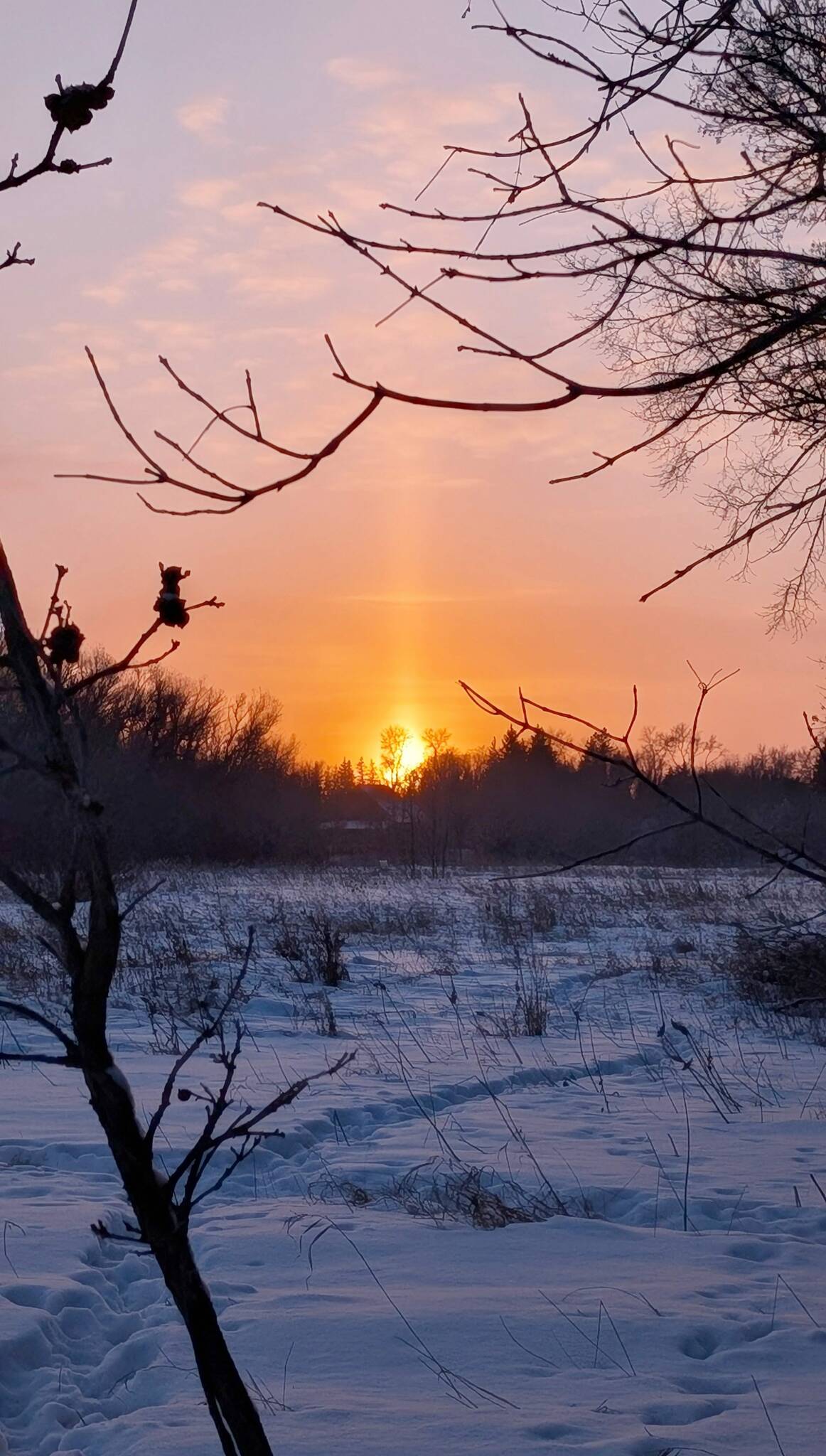 366 days of reflection – Our Communities