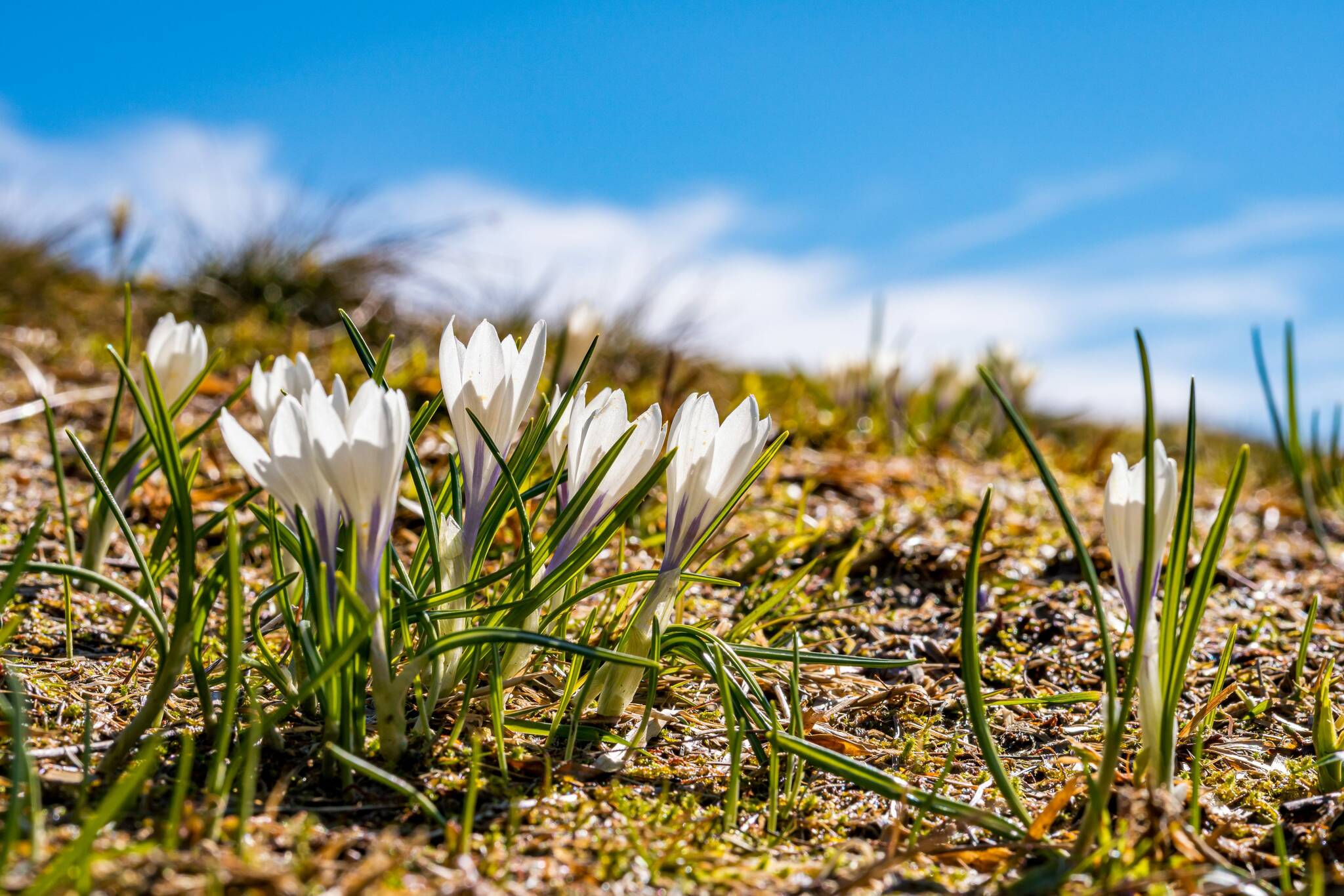 Spring has sprung – Our Communities