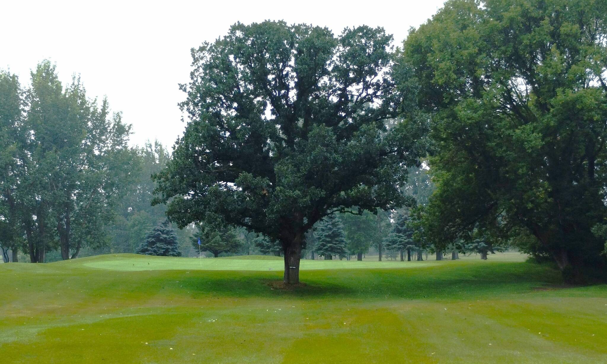 Golf in the Hart-land – Our Communities