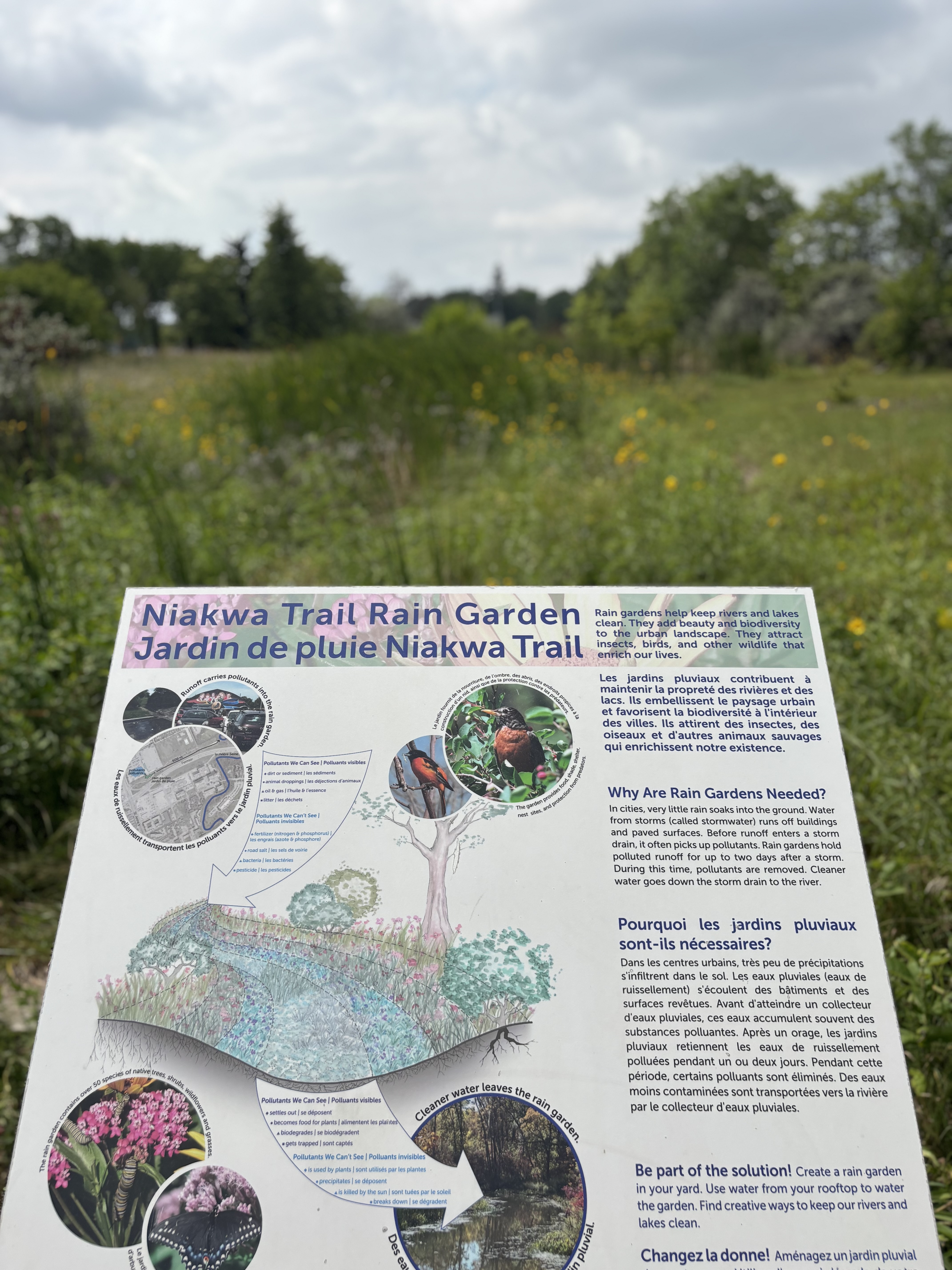 Save Our Seine Tour: Where Does the Water Go? – Our Communities