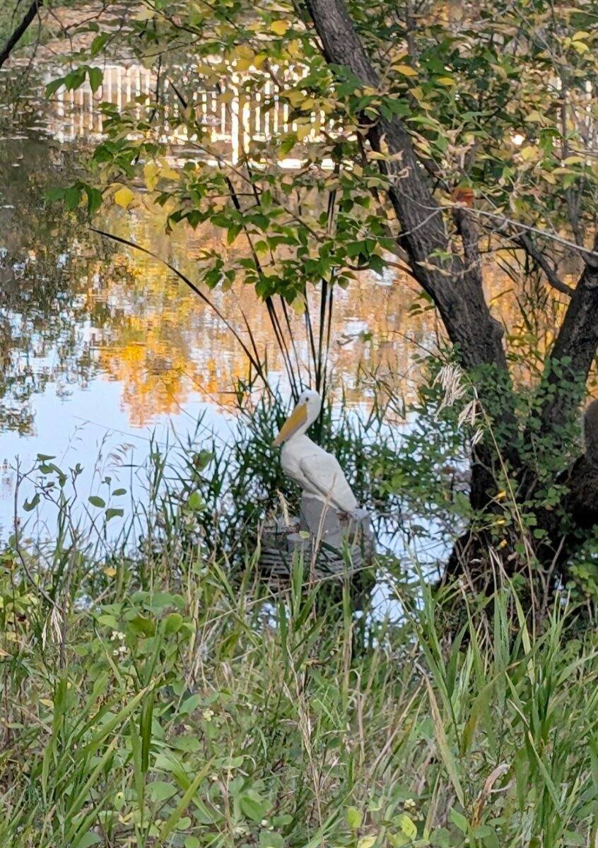 Musing on art, nature and community – Our Communities