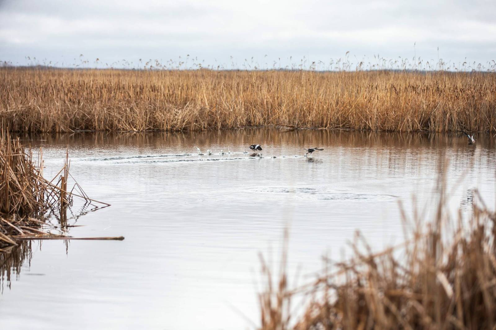 Exploring spring break in Manitoba – Our Communities