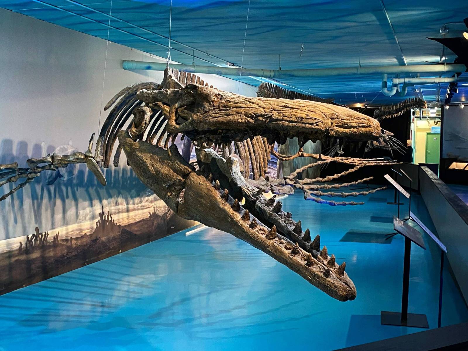 Any day is Manitoba Day during museum season – Our Communities