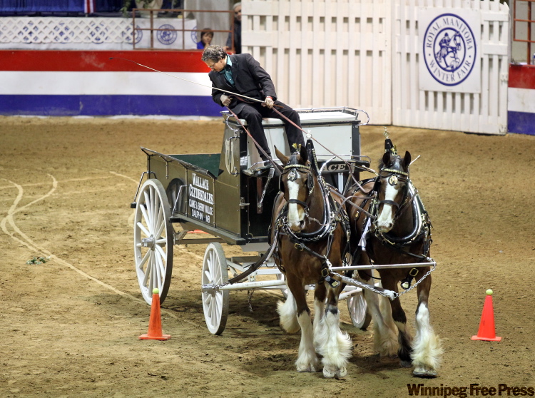 Sowing seeds of change at the Brandon fair – Winnipeg Free Press