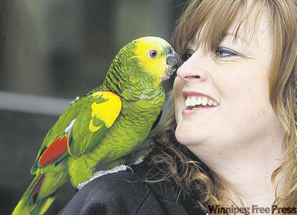 Beloved parrot needs saving – Winnipeg Free Press