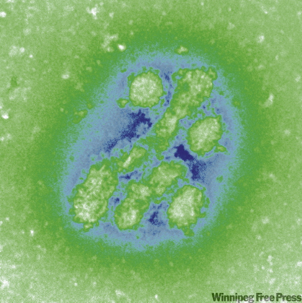 City lab solves flu mystery – Winnipeg Free Press