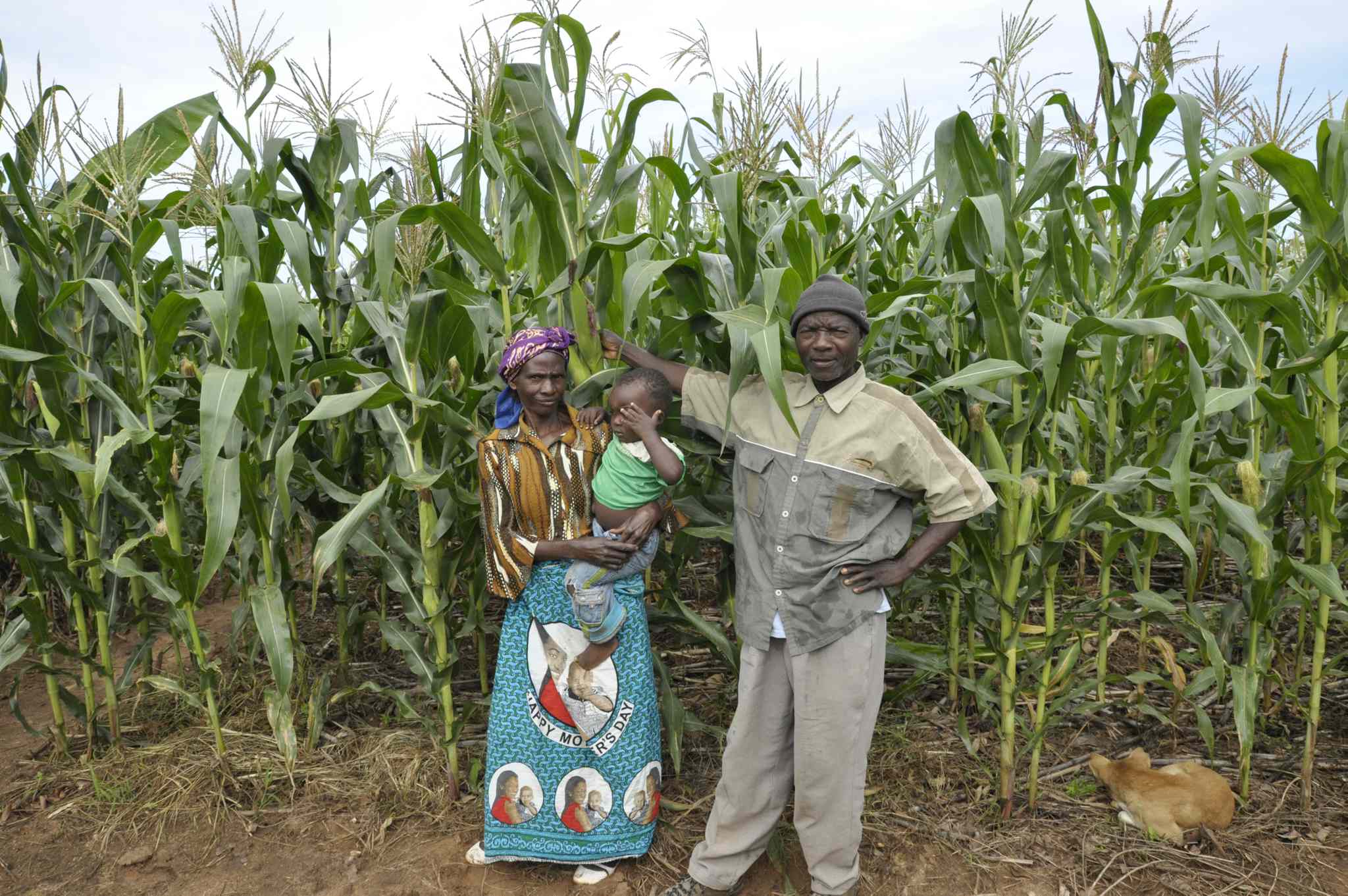 Africa’s hunger games – Winnipeg Free Press