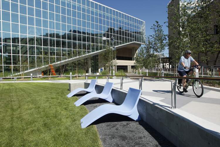 Millennium Library Park officially reopens – Winnipeg Free Press